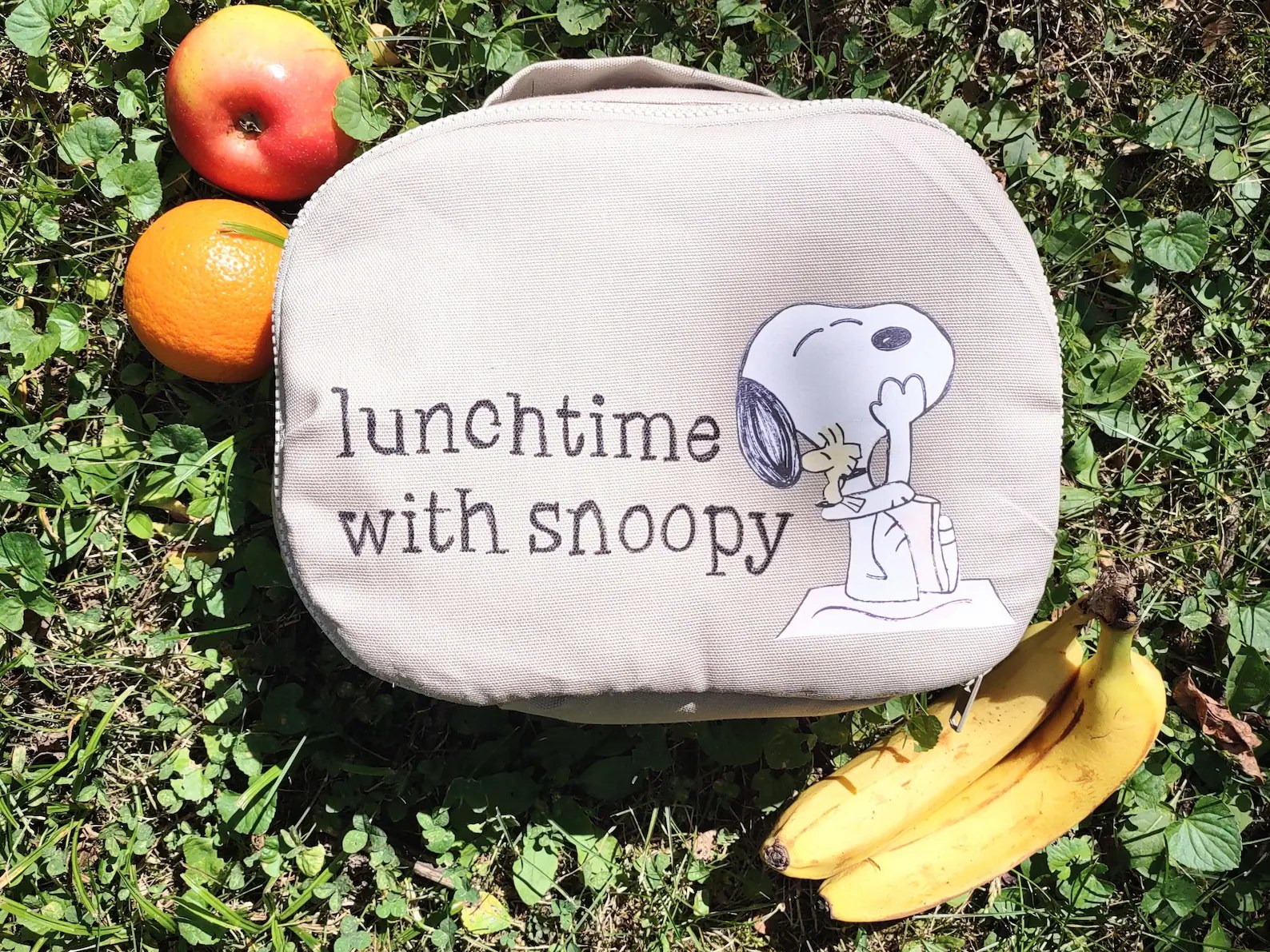 Draw & Paint “Snoopy” | Free Painting Class for Beginners – Kari Lynn M.